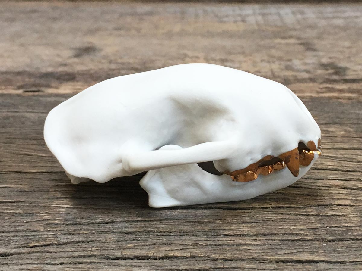 Porcelain Skunk Skull – the Otherist