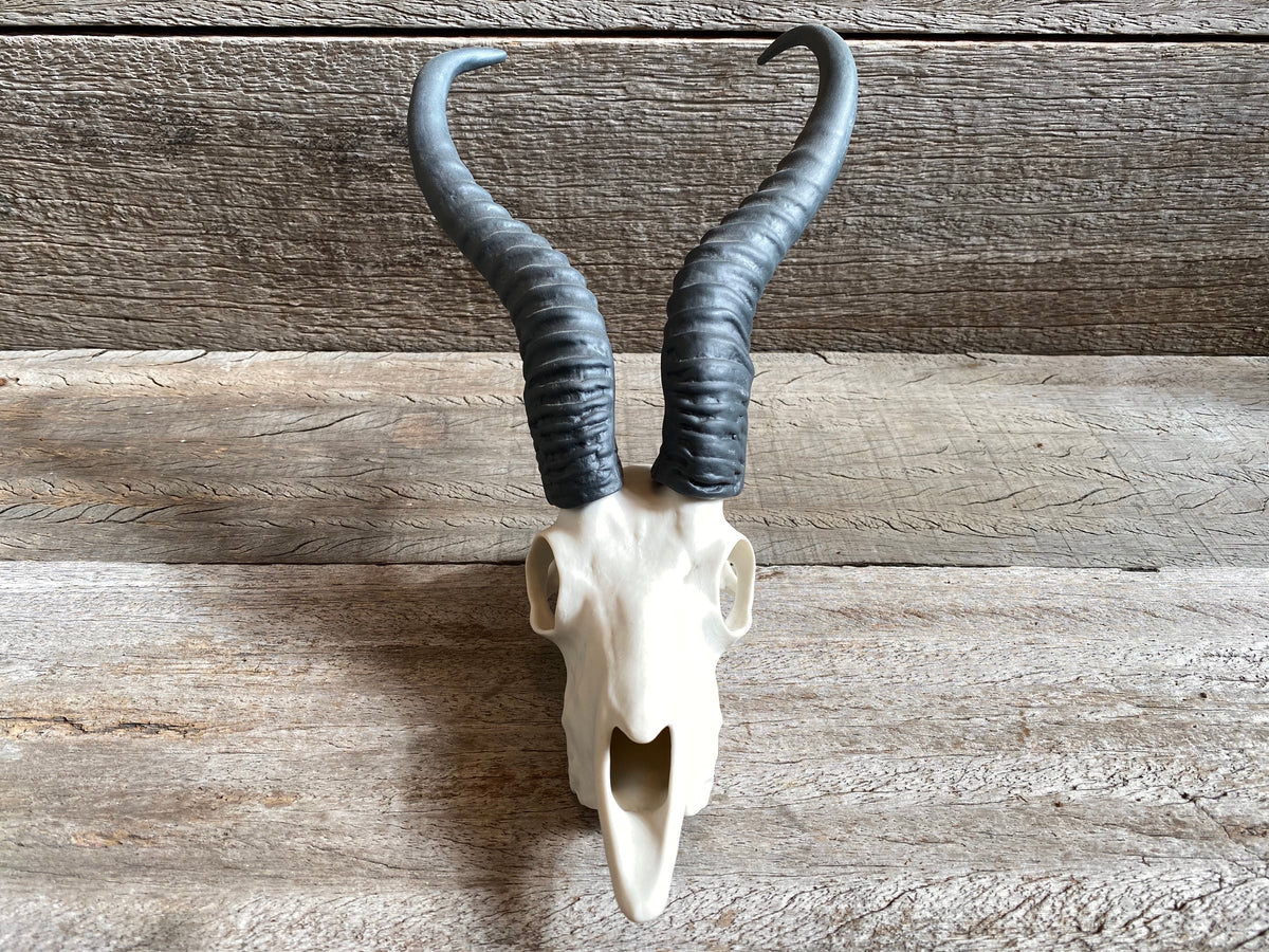 Porcelain Springbok Skull – the Otherist